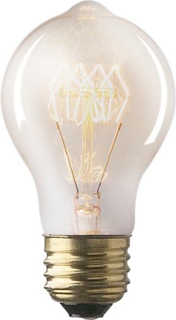 Filament Bulb Iv - Traditional - Incandescent Bulbs - by HedgeApple | Houzz
