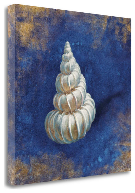 30" Rustic Deep Blue and Gold Shell Giclee Wrap Canvas Wall Art - Beach ...