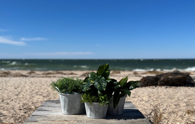 3 Piece Corrugated Wave Planter Set - Farmhouse - Indoor Pots And ...
