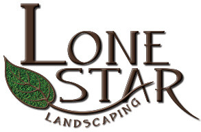 LONE STAR LANDSCAPING - Project Photos & Reviews - Phoenix, AZ US | Houzz