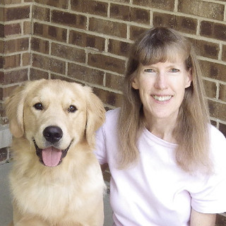 WENDLING DESIGNS - Project Photos & Reviews - Darien, IL US | Houzz