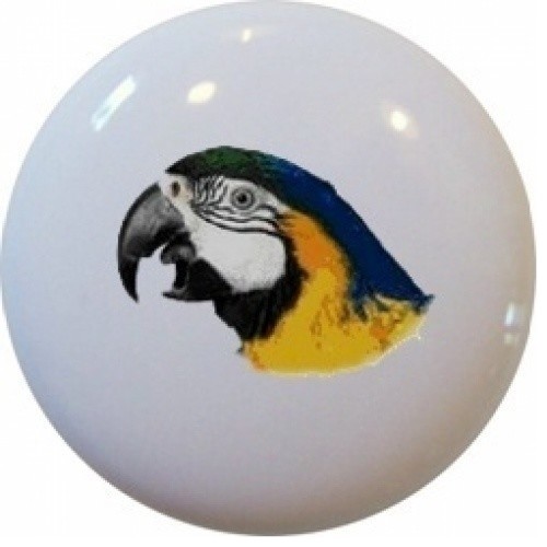Macaw Parrot Head Ceramic Knob - Contemporary - Cabinet And Drawer ...