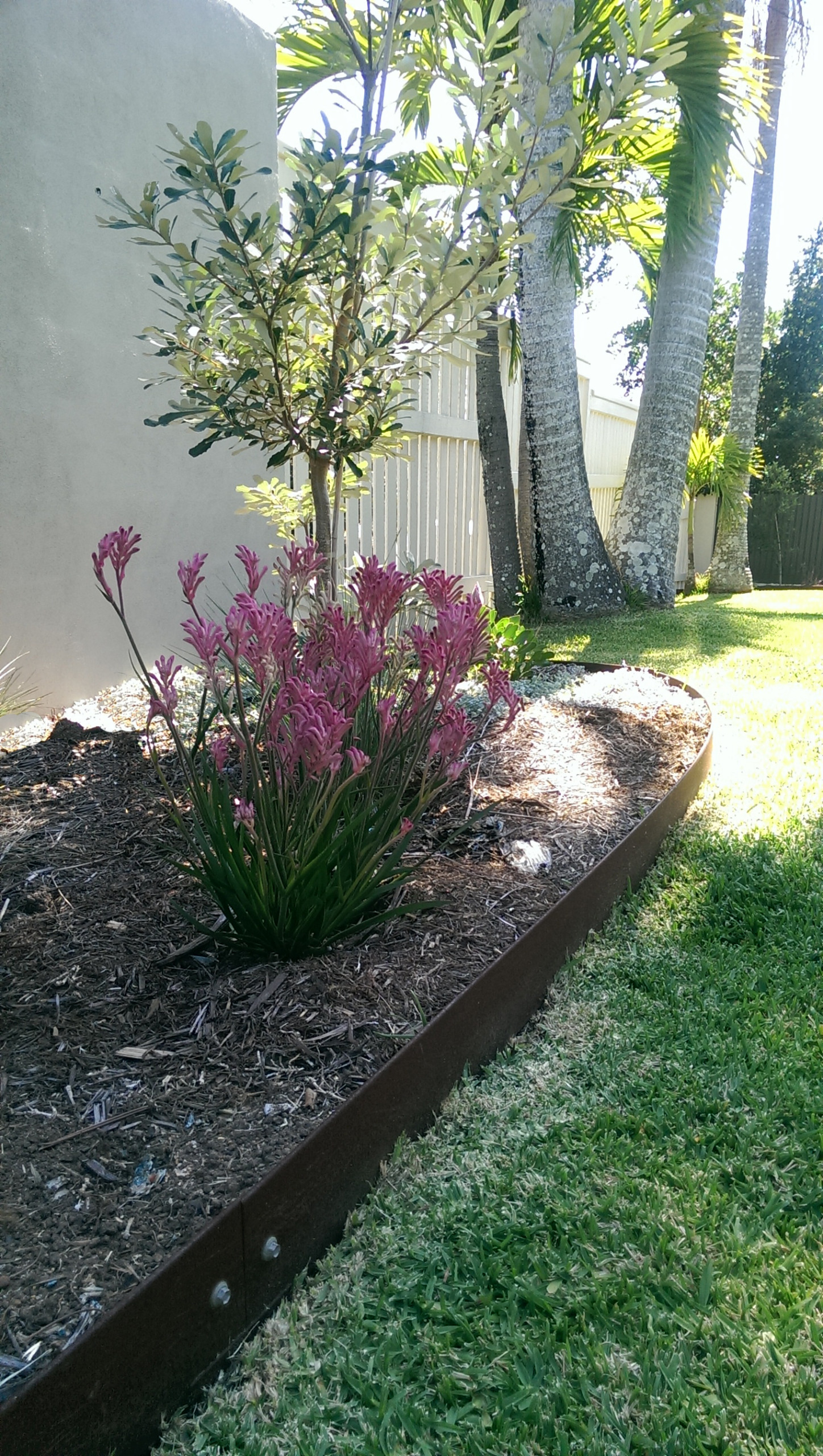 Stainless Steel Garden Edging Perth | Fasci Garden