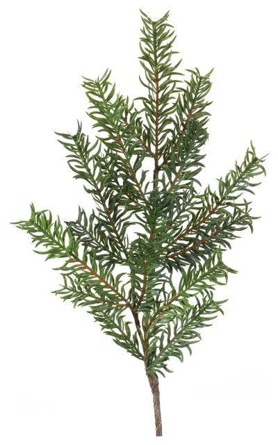 Pine Spray, Set of 12 - Traditional - Christmas Decorations - by ...