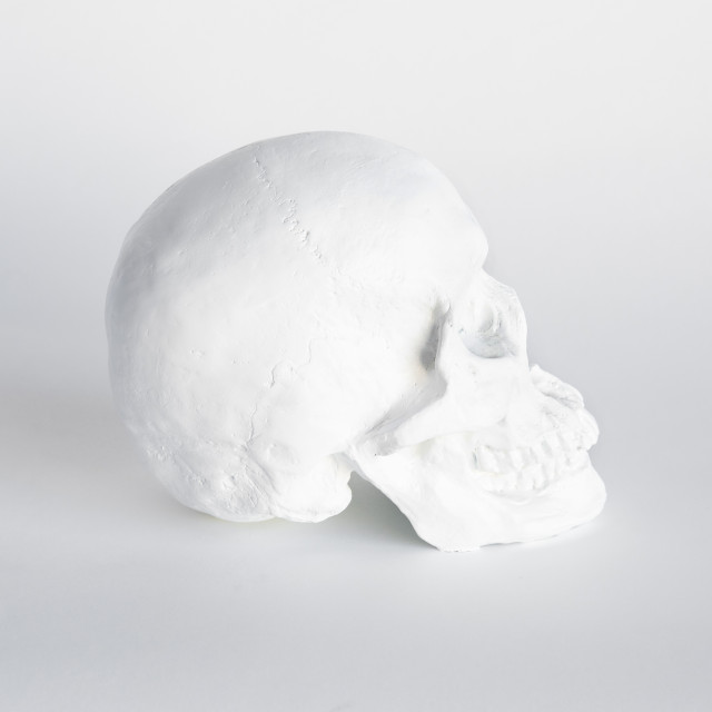 Faux Human Skull, Resin Home Decor, Table Top Skeleton Head - Eclectic ...