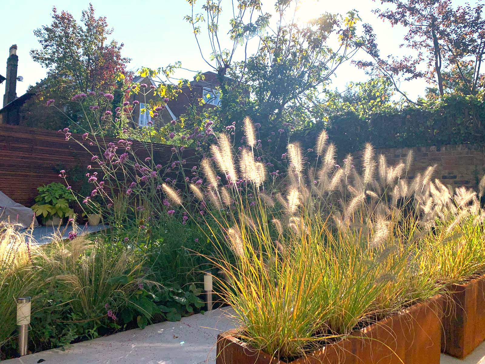 19 Gardens Where Grasses Are Key | Houzz UK