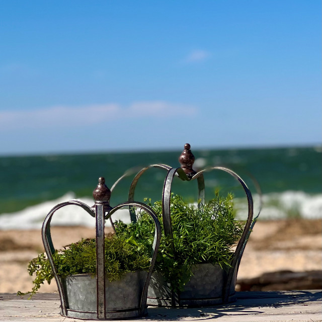 2 Piece Trellis Crown Planter Set - Farmhouse - Indoor Pots And ...