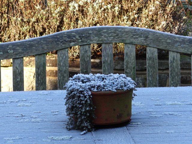 Ask a Garden Designer: What Do I Need to Do in the Garden in February ...