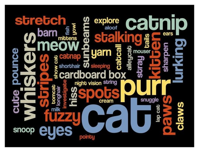 "Cat Words 1" Digital Paper Print by BG.Studio, 18"x14", 18"x14 ...