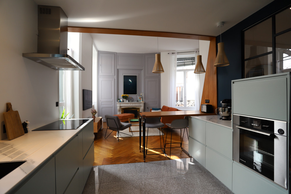 Un appartement Haussmannien à La Croix-Rousse - Transitional - Lyon ...