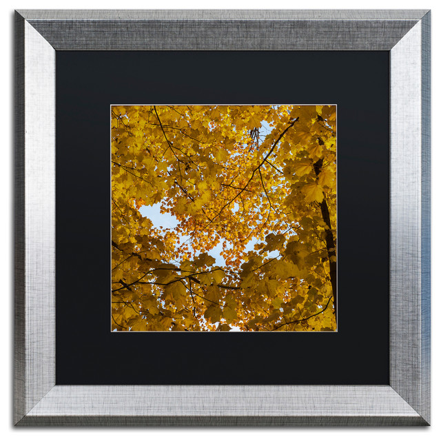 Kurt Shaffer 'Golden Canopy of Autumn' Matted Framed Art, 16x16 ...