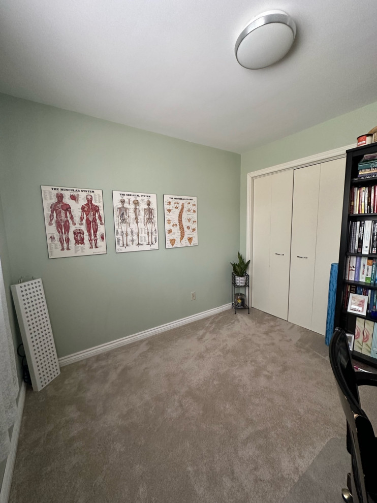Exercise/office zoom wall ideas | Houzz Forum