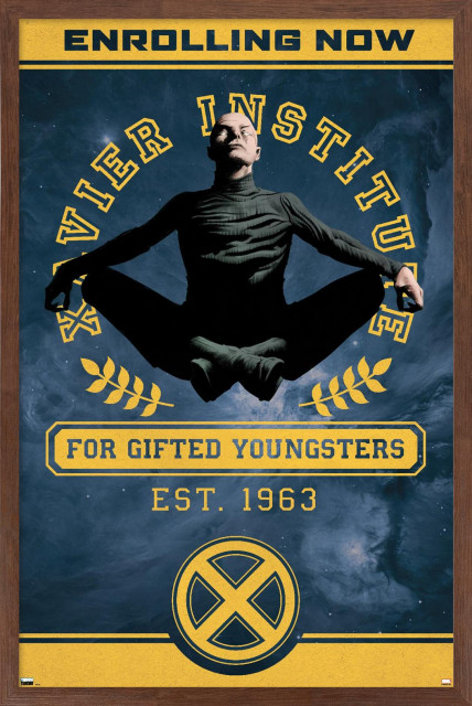 Marvel Comics - The X-Men - Xavier Institute, 14.725" x 22.375 ...