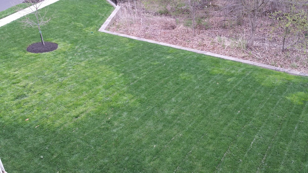 Lawn is different shades of green