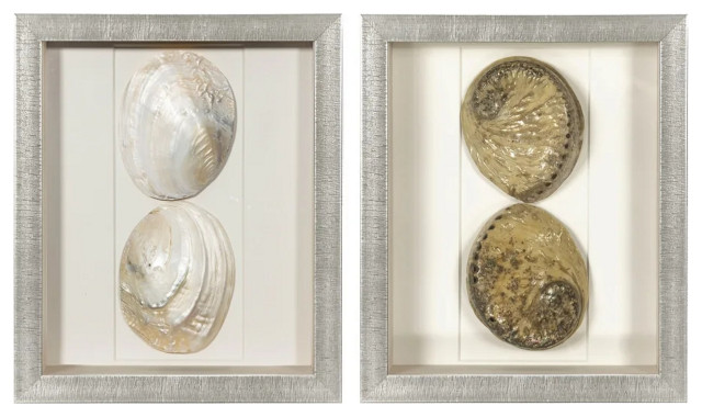 HUJI Abalone and Pearl Shell Shadow Box Wall Decor, 2 Piece Set - Beach ...