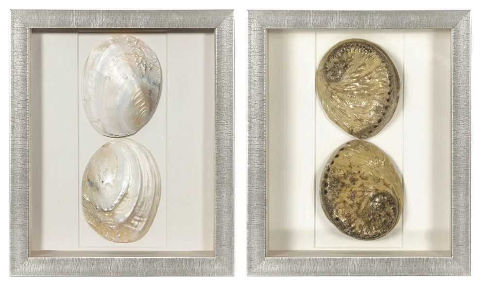 HUJI Abalone and Pearl Shell Shadow Box Wall Decor, 2 Piece Set - Beach ...