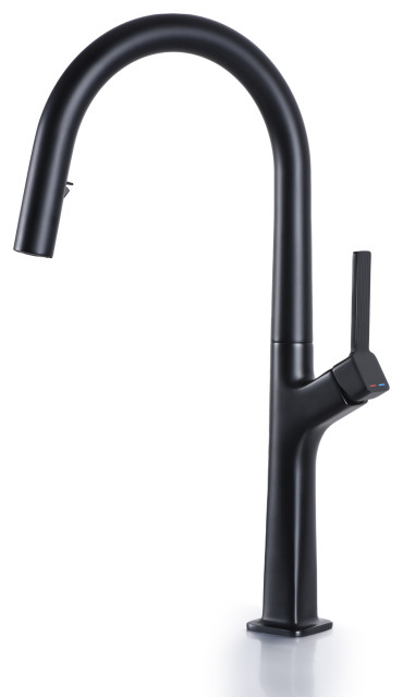 Single Hole Single Handle Kitchen Faucet - Contemporary - Kitchen ...