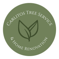 CARLITOS TREE SERVICE & HOME RENOVATION - Project Photos & Reviews ...