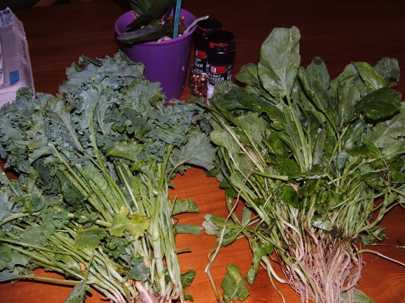 Need veggie ID, please!!