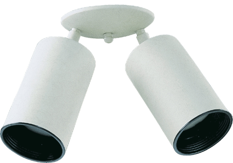 2-Light Bullet Ceiling Mount, White - Transitional - Spot Lights - by ...