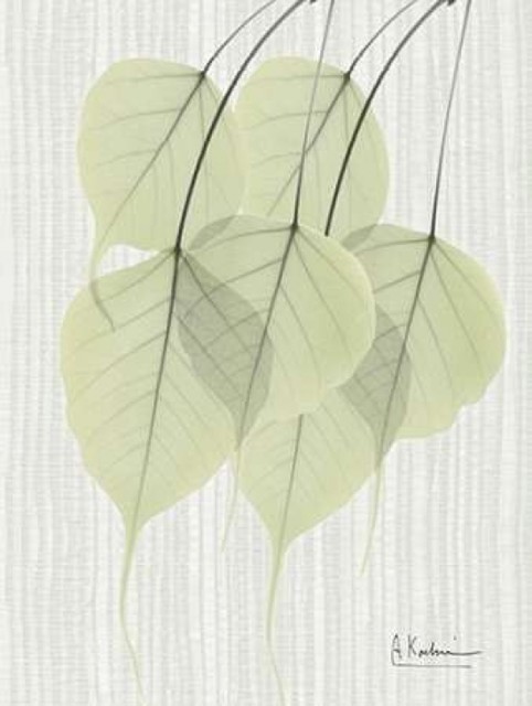 "Bo Tree Leaves in Green on Stripes" Print, 18"x24" - Contemporary ...