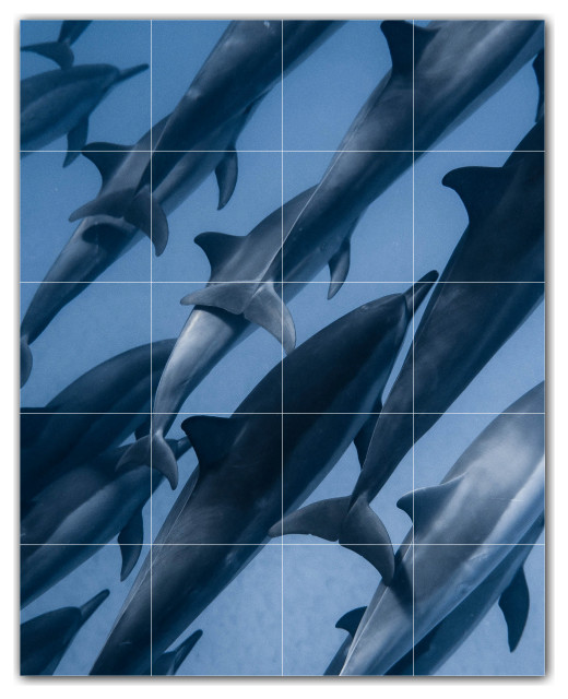 Dolphin Ceramic Tile Wall Mural HZ500508, 32" Wide x 40" High - Beach ...