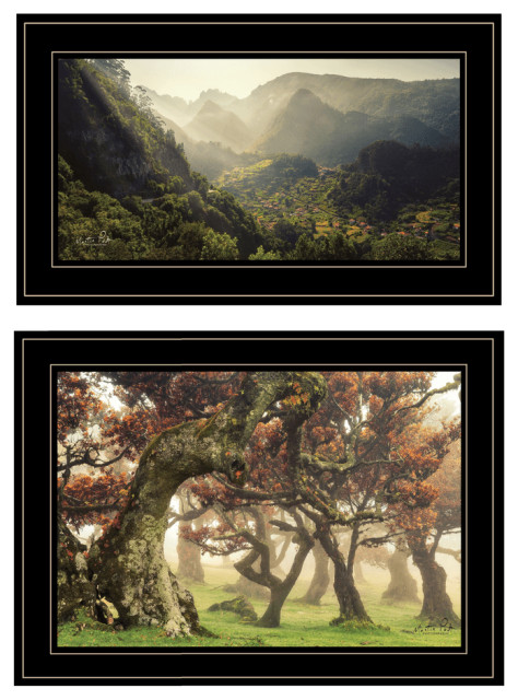 Set Of Two The Land of Hobbits 2 Black Framed Print Wall Art ...
