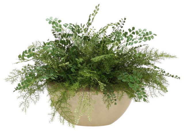 Springerii and Fern Mixture in a Oval Beige with Bronze Rim Ceramic ...