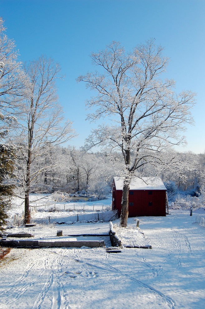 Protecting chickens from hawks