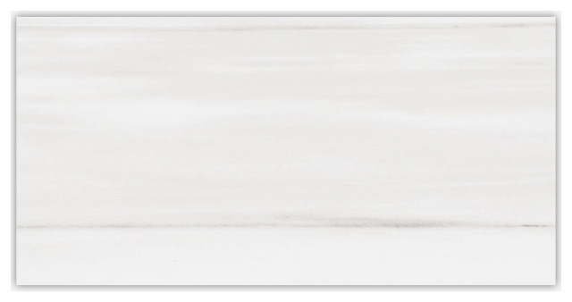Dolomite White Matte 24x48 Porcelain Tile, 24x48 - Traditional - Wall ...