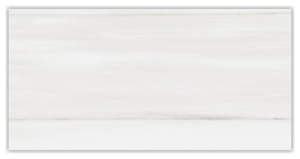 Dolomite White Matte 24x48 Porcelain Tile, 24x48 - Traditional - Wall ...