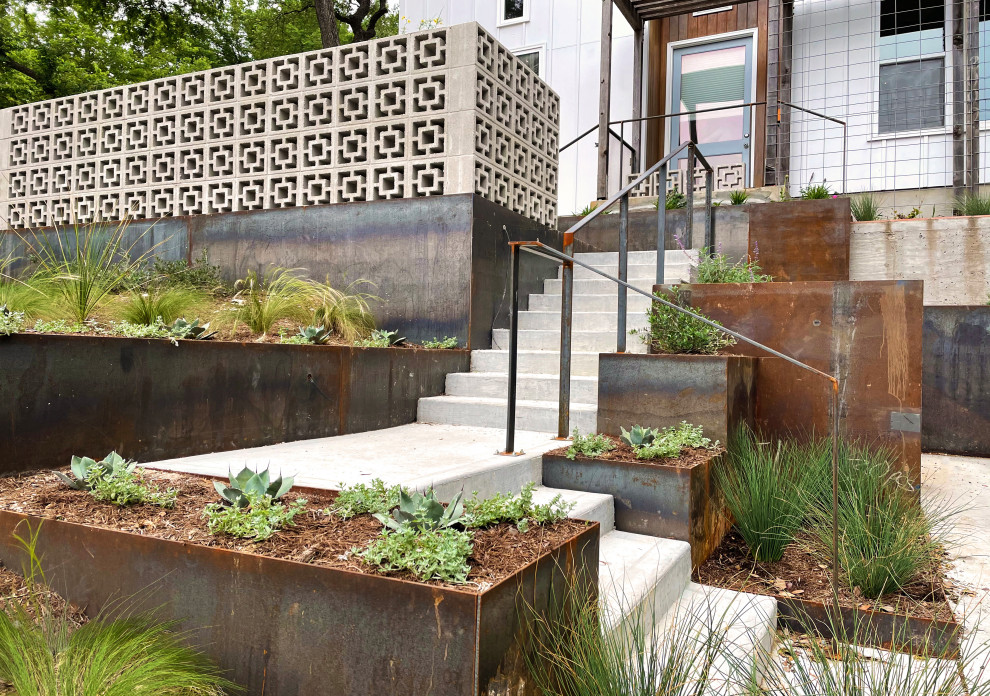 Front Entry Travis Heights - Midcentury - Landscape - Austin - by ADLA ...