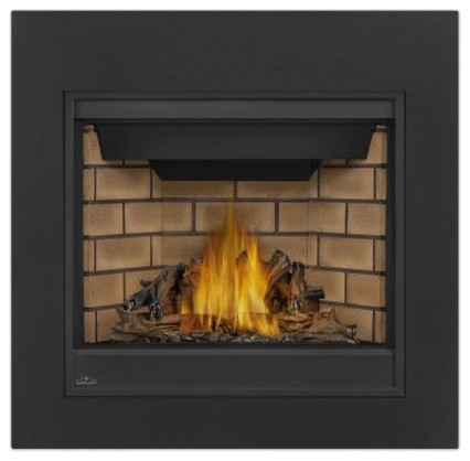Ascentx36 GX36-1 Natural Gas Fireplace, Liner, Clean Face Front, MV ...
