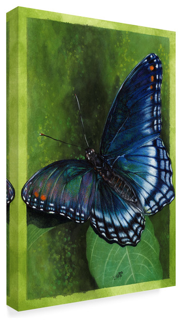 "Jewel Tones" by Barbara Keith, Canvas Art, 16"x24" - Contemporary ...