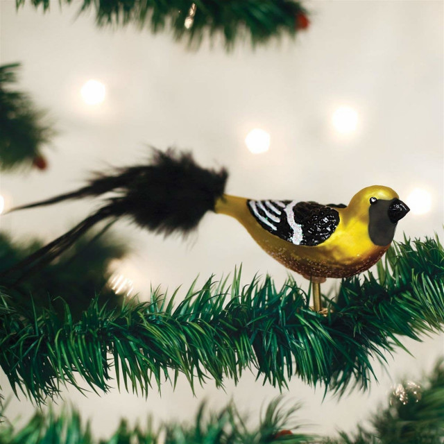 Old World Christmas Bird Watcher Collection- Glass Blown Ornament ...
