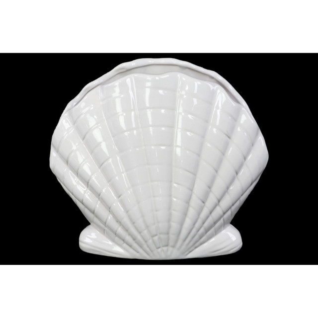 Ceramic Clam Textured Seashell Sculpture, Set of 2, White - Beach Style ...