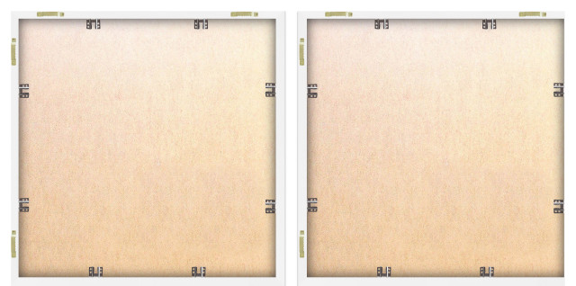 Orange Vision Diptych, 2-Piece Set, 32x32 - Contemporary - Wall Accents ...