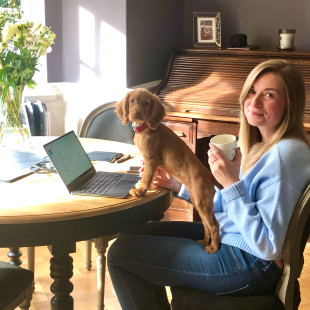 SARAH SUTOR INTERIORS - Reviews, interiors, contacts. Whitby, UK | Houzz