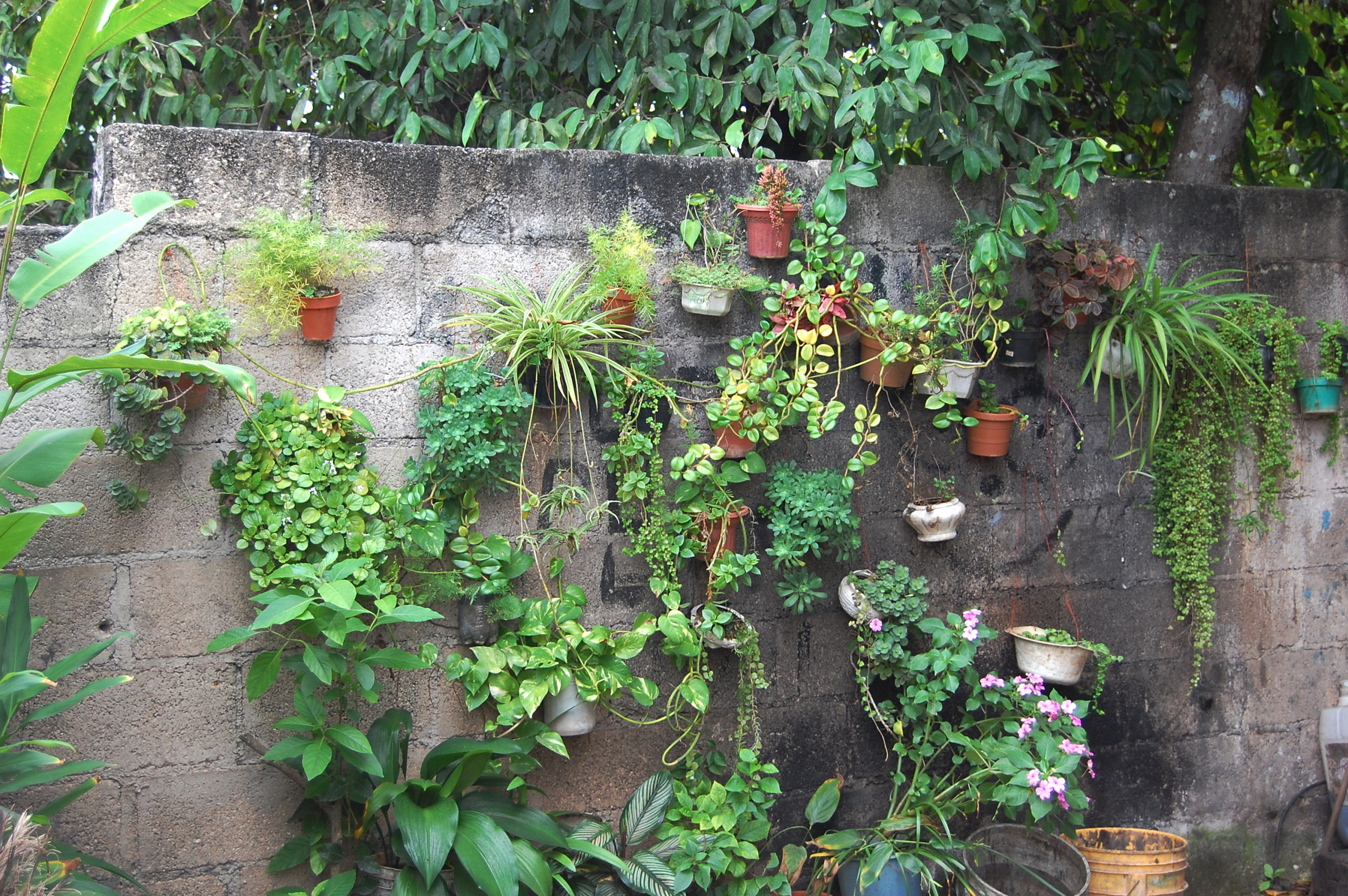 Mexican Design to Inspire a Home Anywhere