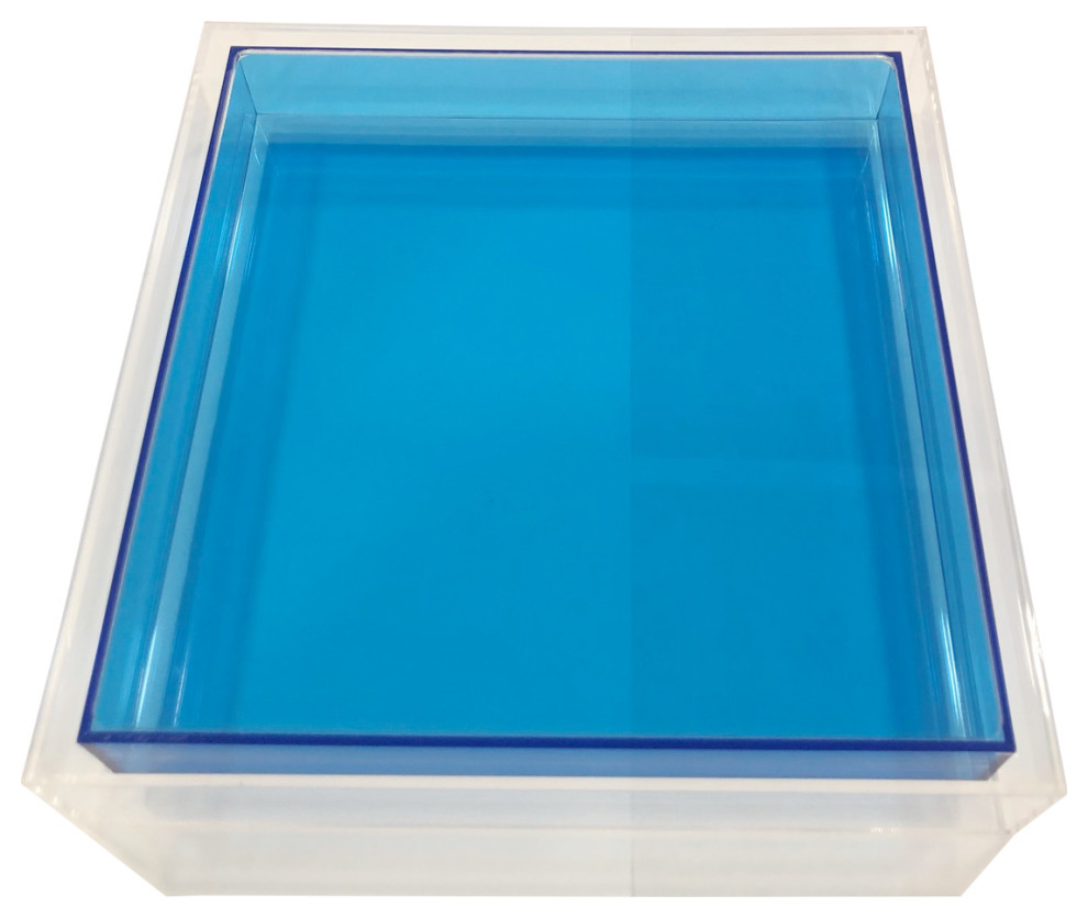 Neon Encased Lucite Tray - Contemporary - Serving Trays - by R16 HOME ...