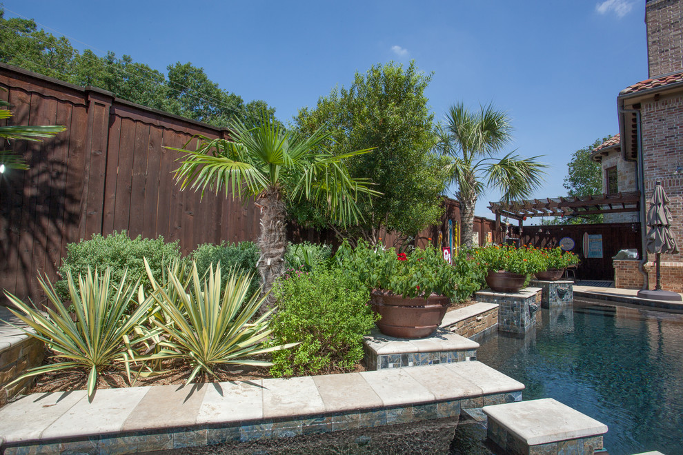 Big Foliage for Small Spaces