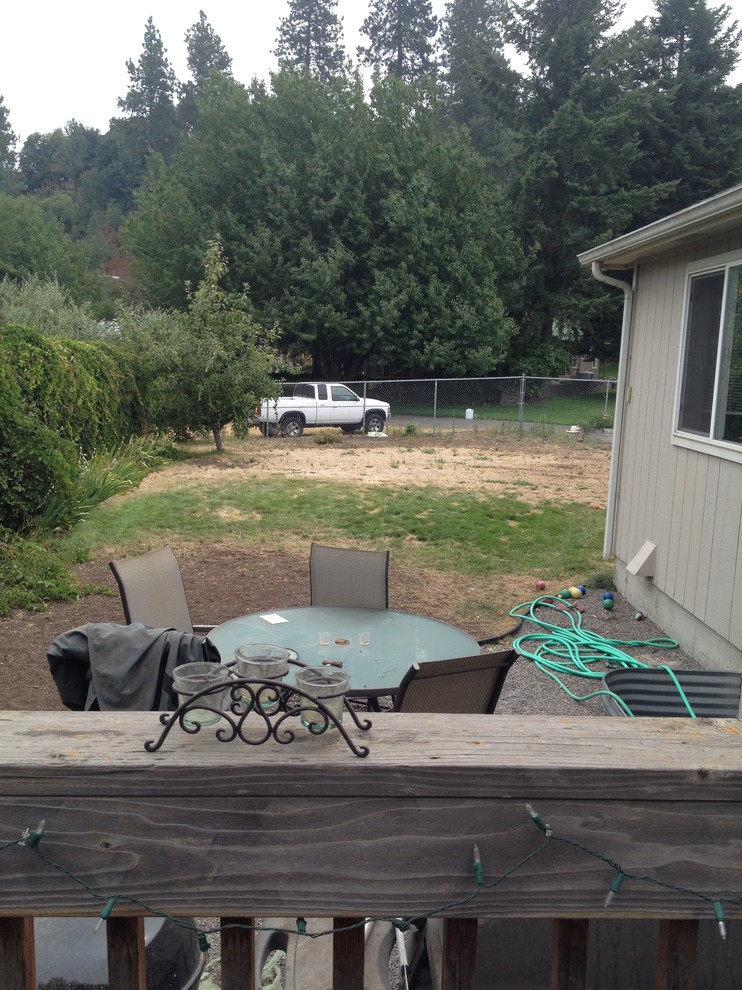 Help! What to do with this backyard disaster!