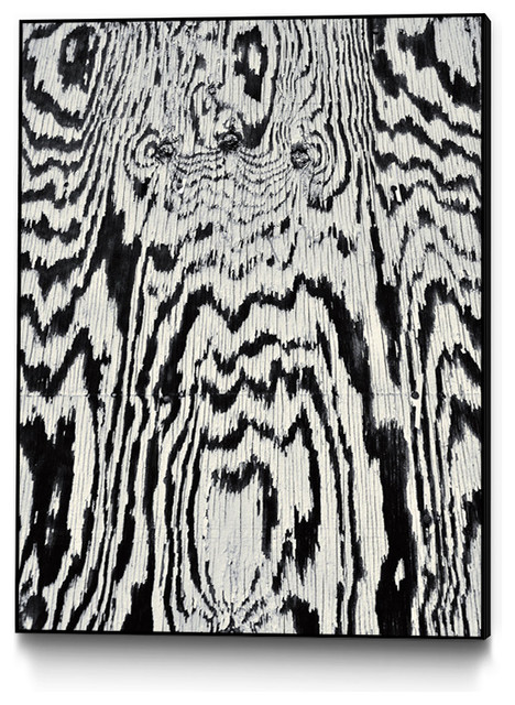 "Zebra" Art block Framed Canvas, 24"x36" - Contemporary - Prints And ...