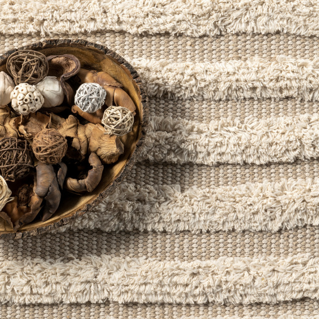 Arvin Olano x RugsUSA Riley Textured Shag Rug, 9'x12' - Contemporary ...