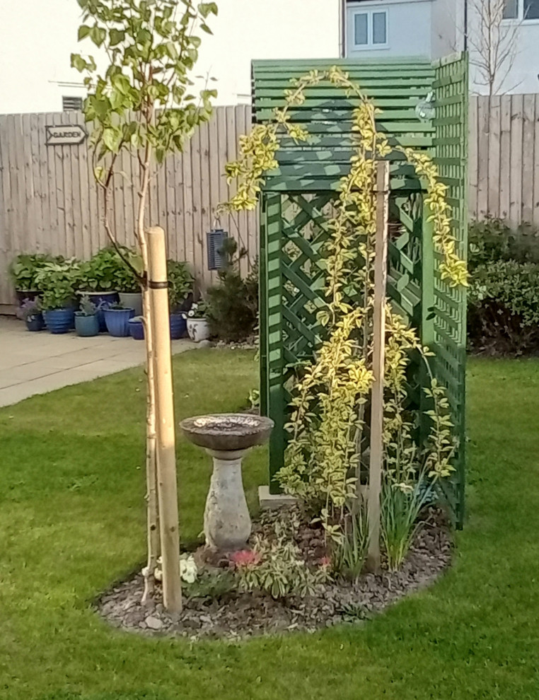 20 Patios That Incorporate Lush Planting | Houzz UK