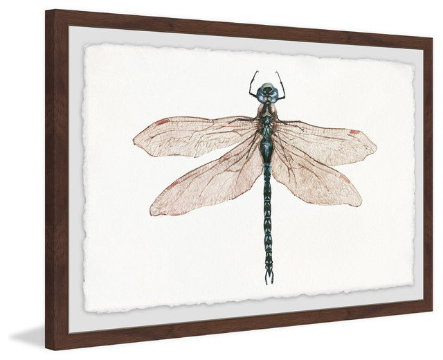 "Dual Wings" Framed Painting Print, 18"x12" - Contemporary - Prints And ...