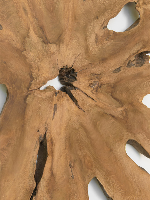 Sliced Teak Root Wall Art - Rustic - Wall Accents - by Best Home ...