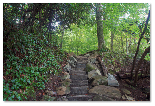 Bob Rouse 'steps' Canvas Art, 16"x24" - Rustic - Prints And Posters ...