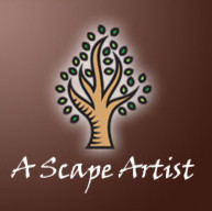 A SCAPE ARTIST - Project Photos & Reviews - San Jose, CA US | Houzz