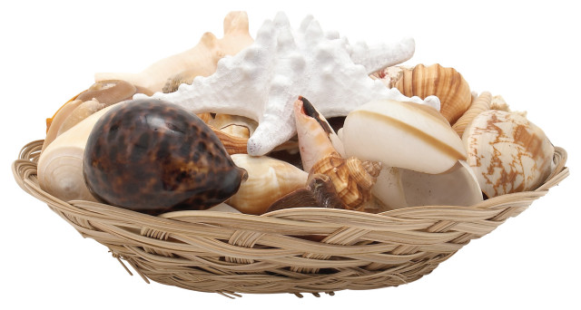 Benzara Sea Shell Bowl - Beach Style - Decorative Objects And Figurines ...